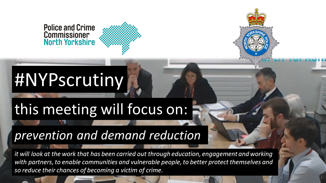 Questions invited at #NYPscrutiny meeting focusing on prevention and ...