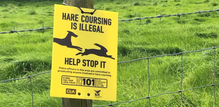 Commissioner welcomes government action on hare coursing - Police, Fire ...