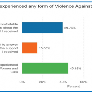 Figure 8. Experience of VAWG - Police, Fire and Crime Commissioner ...