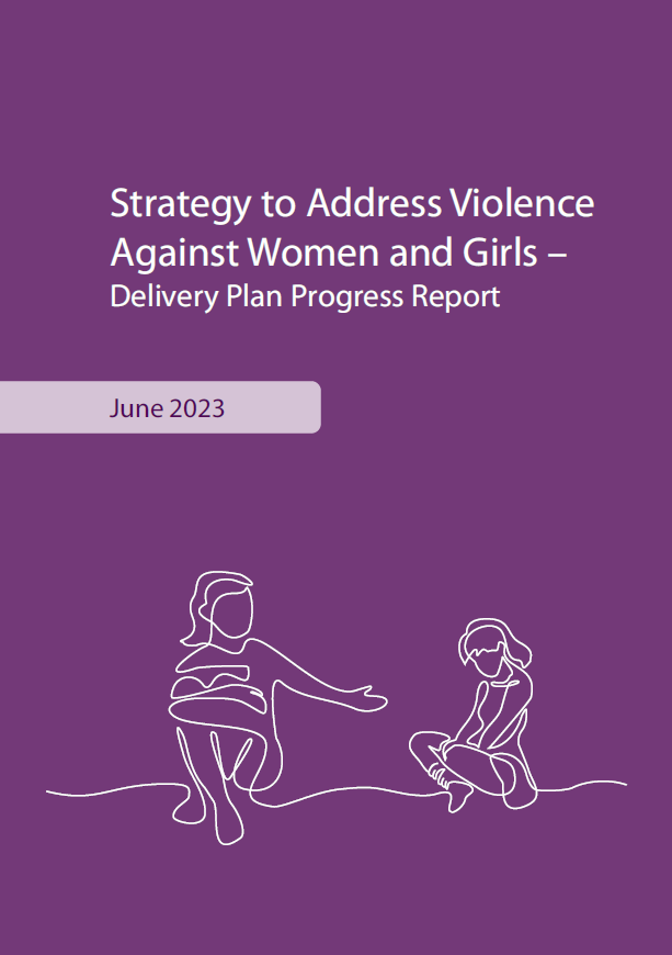 Joint Violence Against Women and Girls Strategy – Progress Update ...
