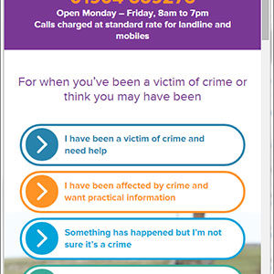 supporting-victims-website-screen-capture - York and North Yorkshire ...